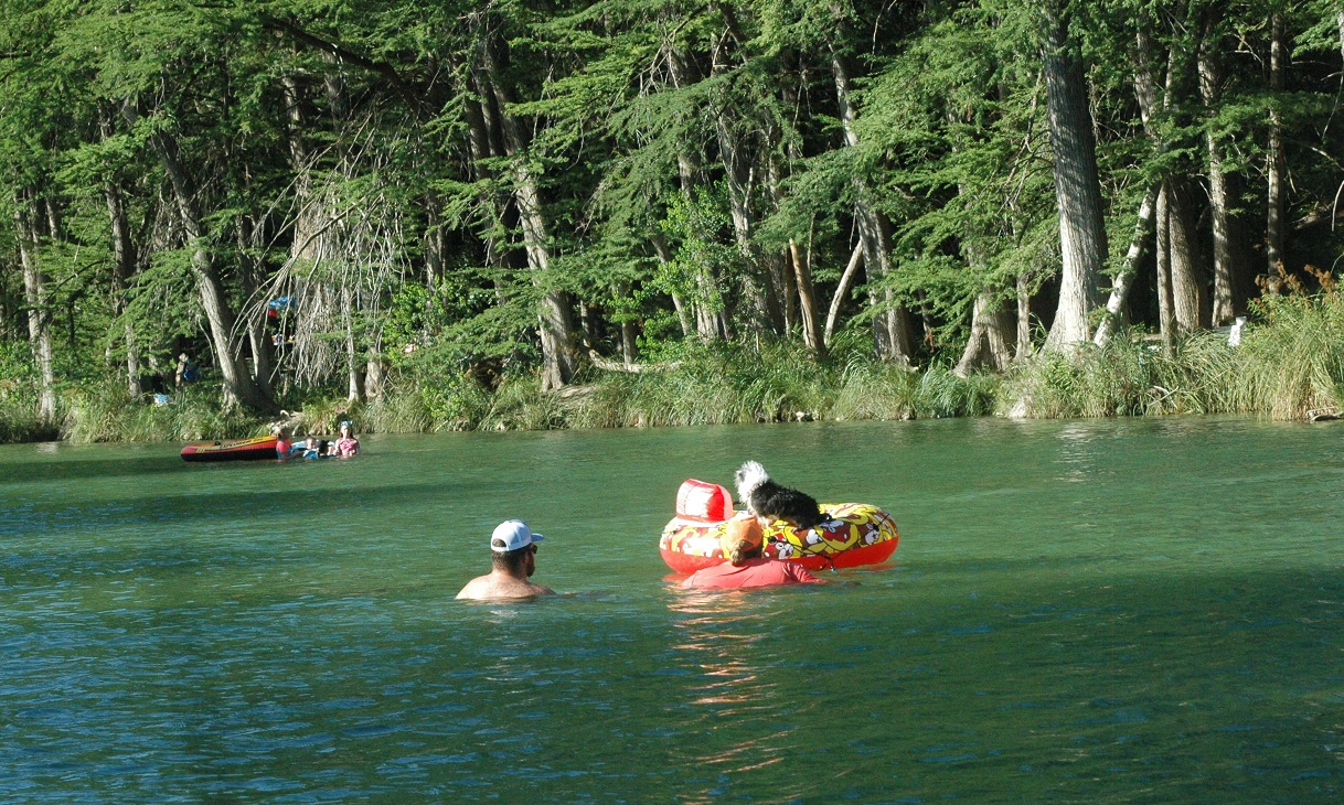 Picture of the Day: Dog days of summer - Uvalde Hesperian